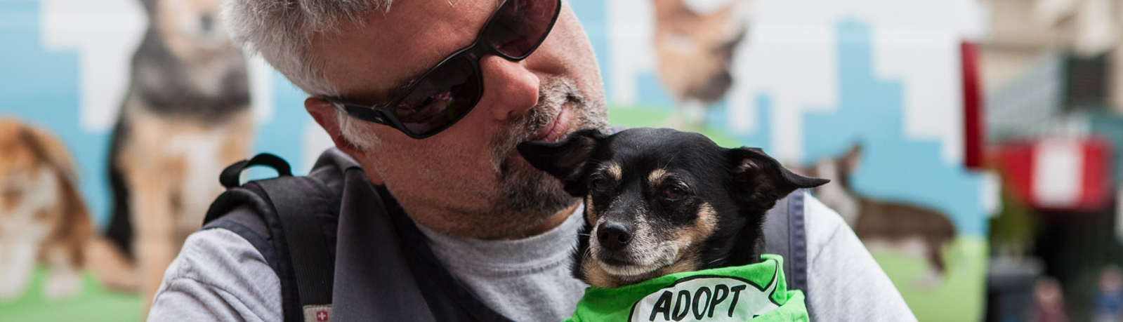 Volunteer – Friends of SFACC