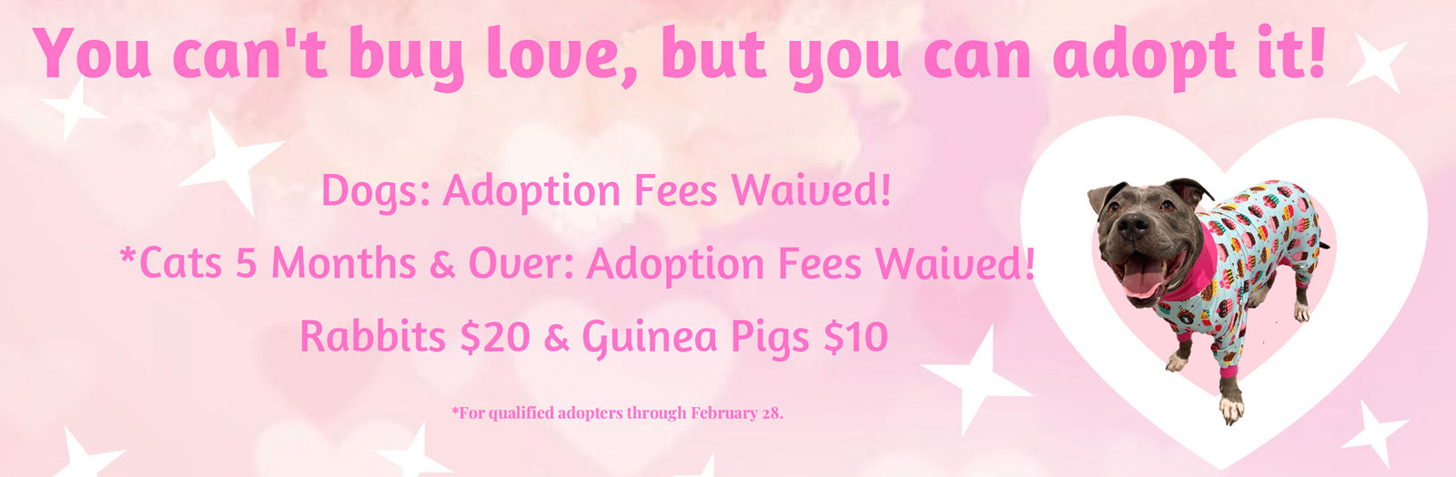 Friends of SFACC – Our mission is to support San Francisco's municipal ...